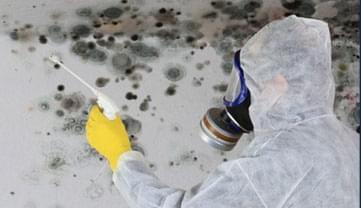 Environmental Consultants Serving CA, OR & WA | ACC Env